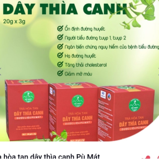 Trà hoà tân dây thìa canh lá to- TẠP HOÁ MẬN LÂM - Sbiz